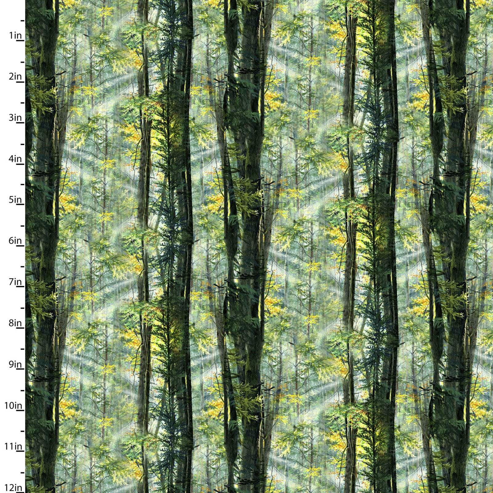Nature Walk Sunlight in the Forest Cotton Fabric - Walmart.com