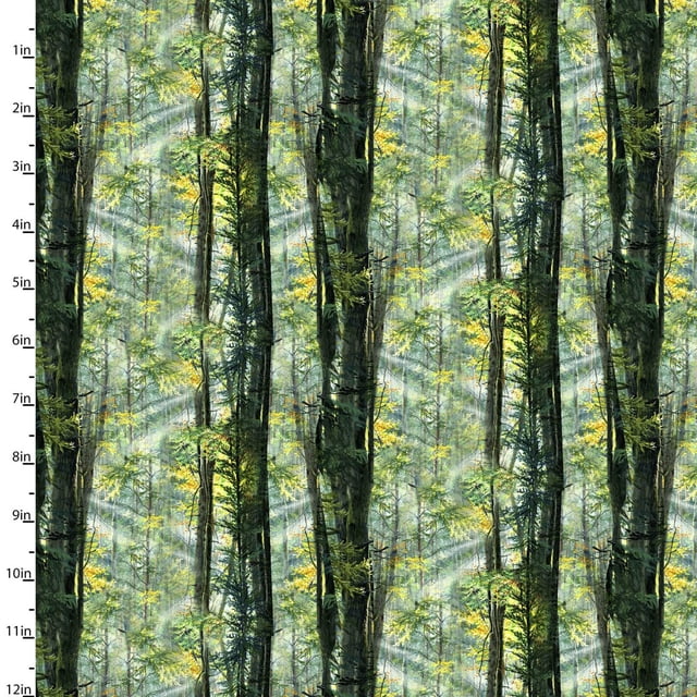 Nature Walk Sunlight in the Forest Cotton Fabric - Walmart Business ...