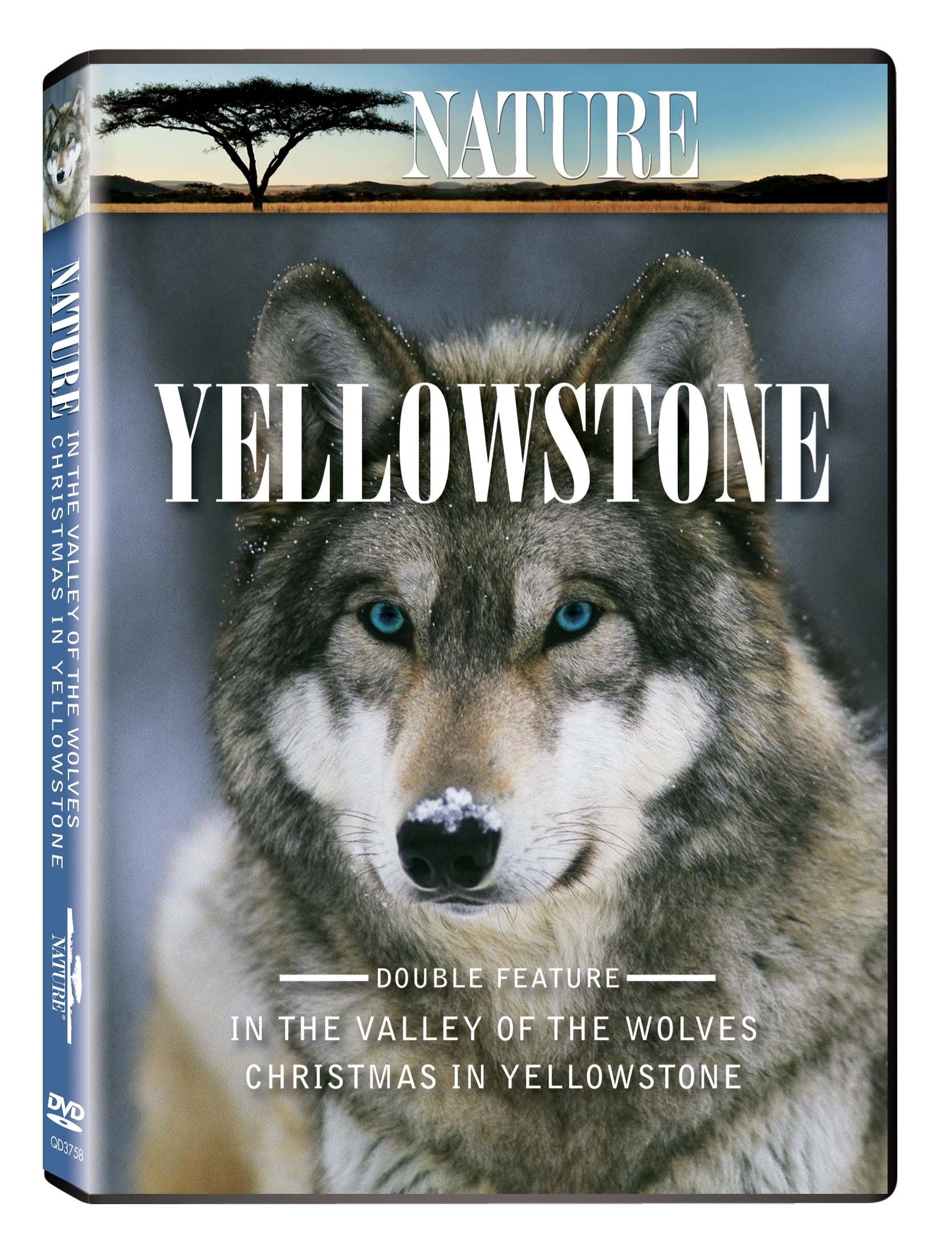 Nature: Yellowstone - Walmart.com