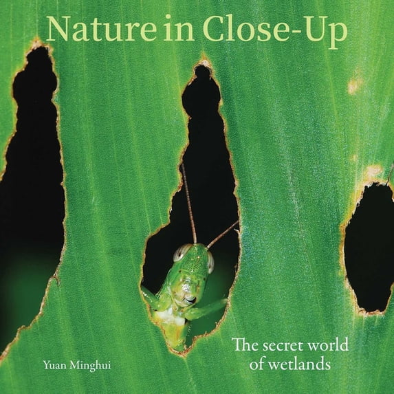 Nature in Close Up: The Secret World of Wetlands, (Hardcover) - Walmart.com