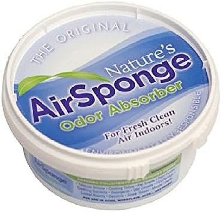 Nature's Air Sponge No Scent Odor Absorber 0.5 lb. Solid - Walmart.com