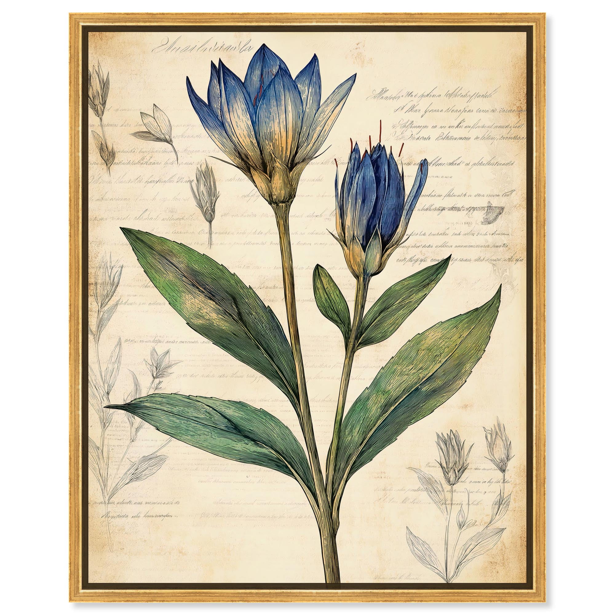 Nature’s Alpine Canvas Vintage Botanicals by Art Remedy, Gold Frame, 16 ...