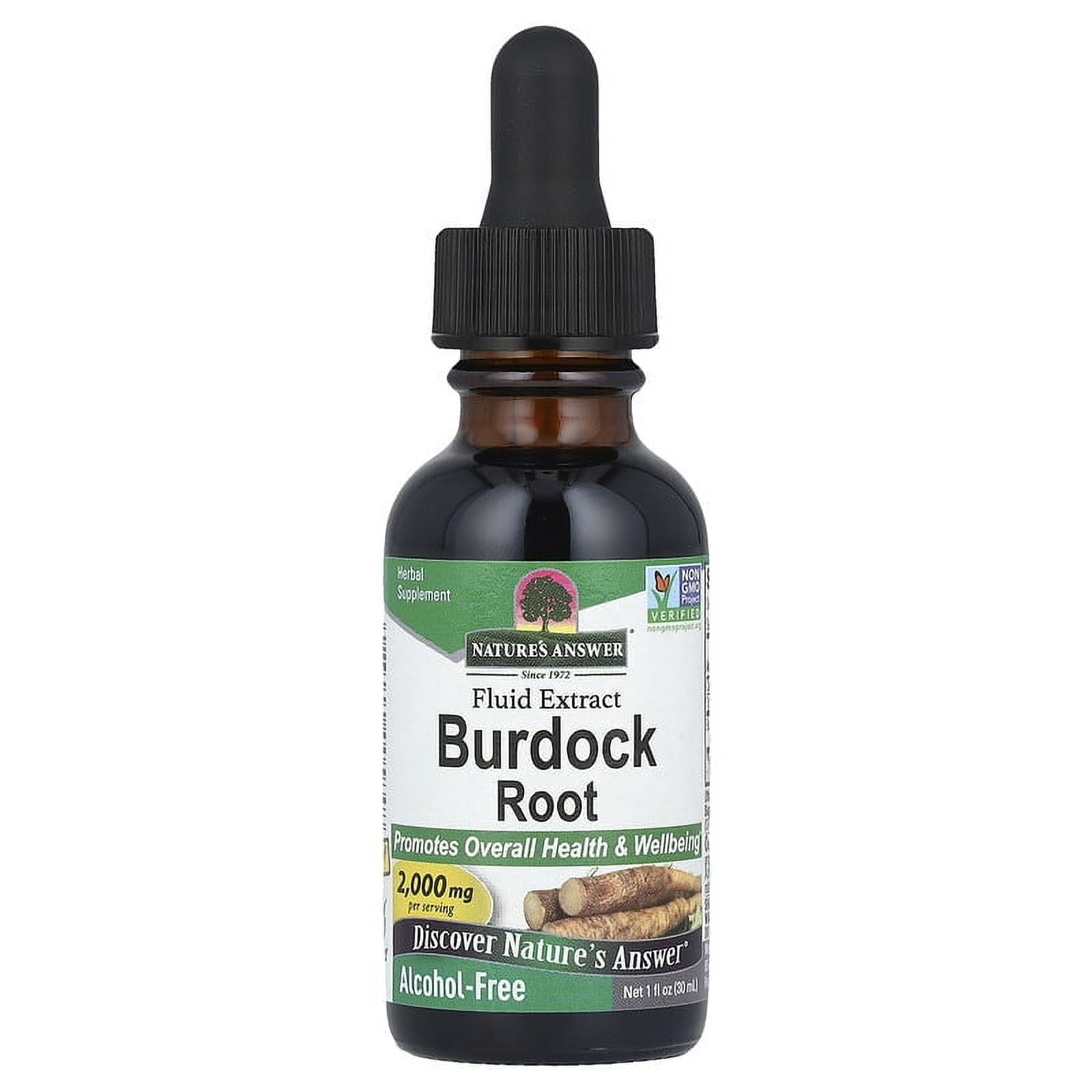 Nature's Answer, Burdock Root, Fluid Extract, Alcohol-Free, 2,000 mg, 1 ...