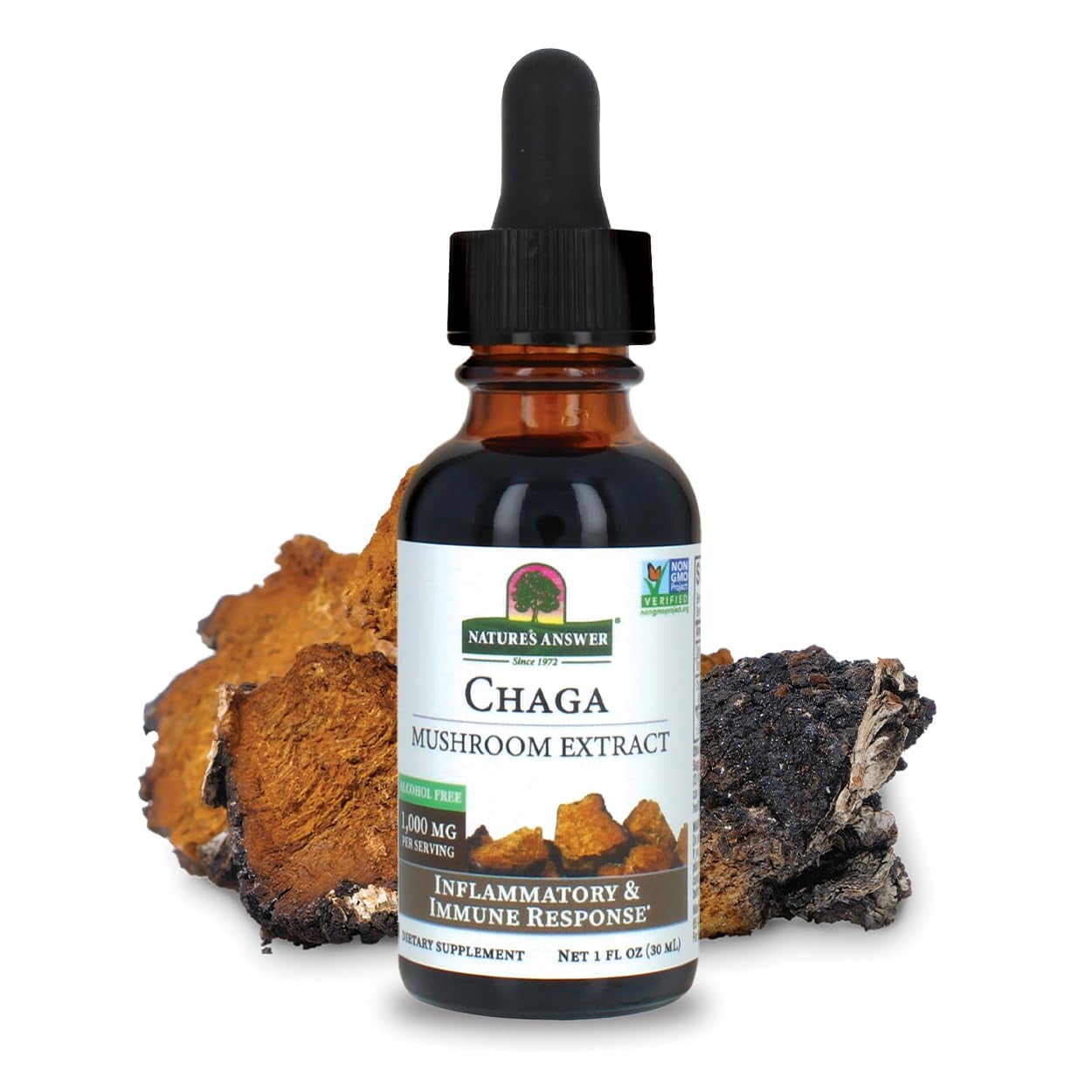 Nature's Answer Chaga, Mushroom Extract, Alcohol Free, Dietary ...