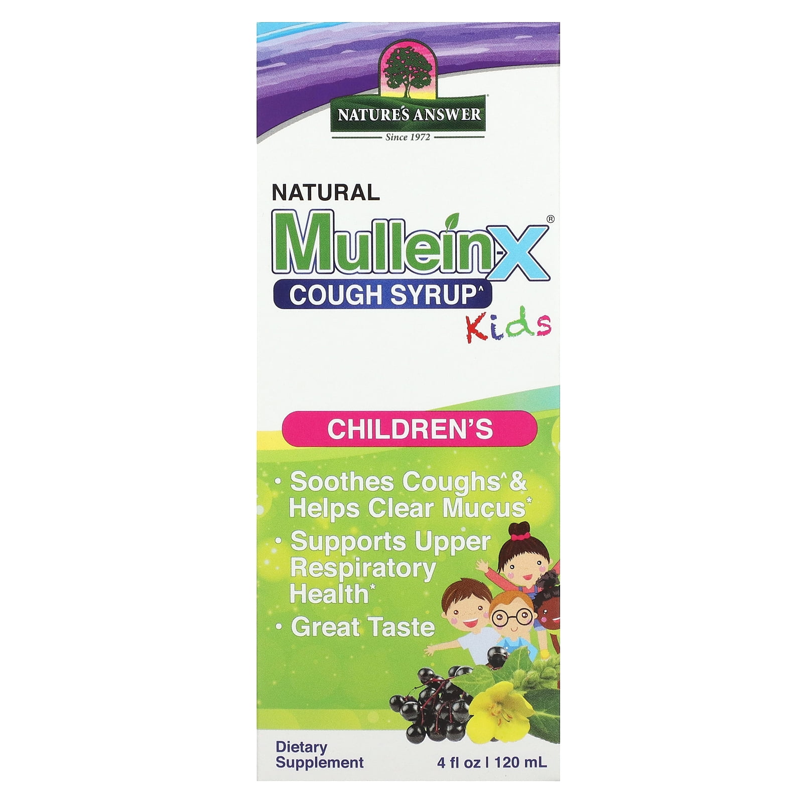Nature's Answer Natural Mullein-X Cough Syrup, Kids, 4 fl oz (120 ml ...