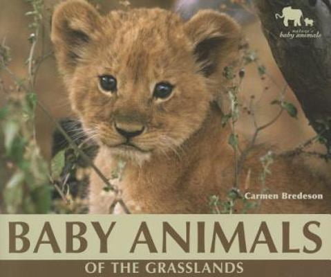 Pre-Owned Baby Animals of the Grasslands (Paperback) 1598454064 ...