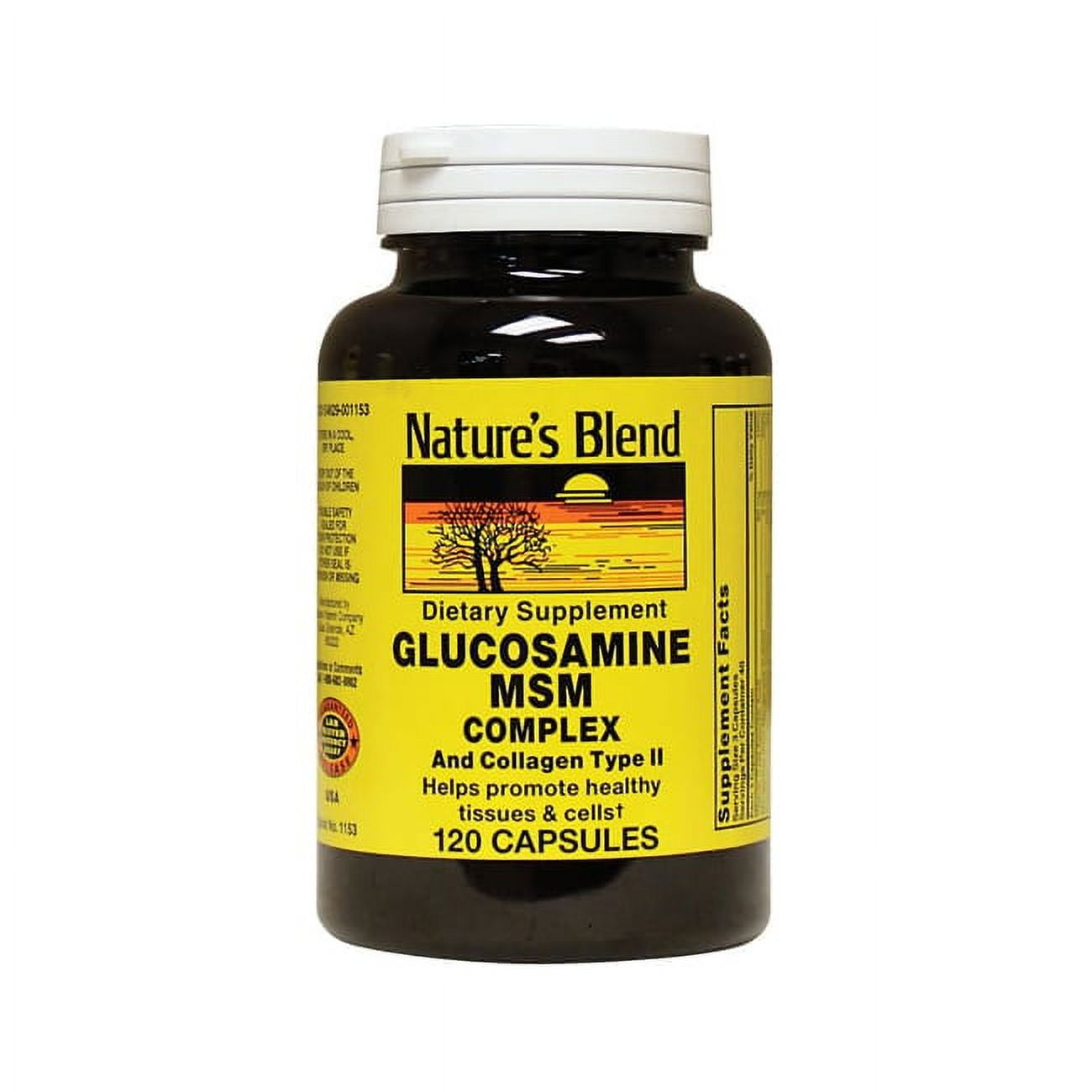 Nature's Blend Glucosamine & MSM Complex Capsules, 120 Count - Walmart.com