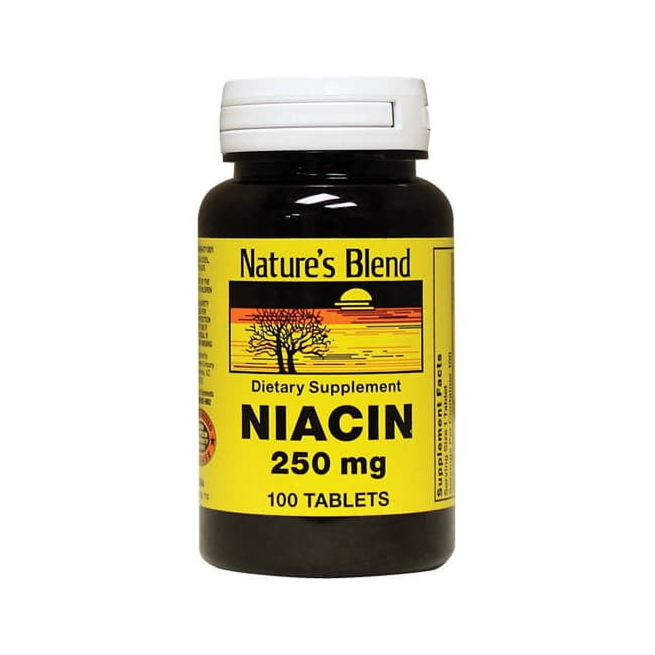 Nature's Blend Niacin 250 mg, 100 Gluten-Free Tablets, Cardiovascular ...