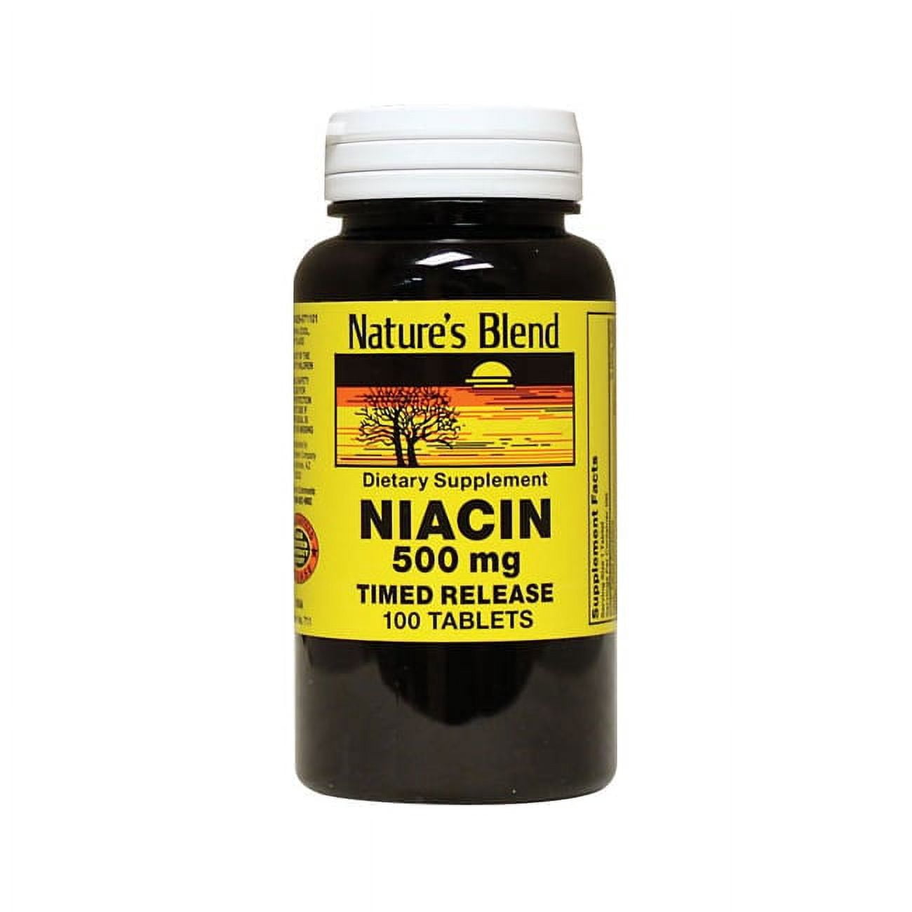 Nature's Blend Niacin Dietary Supplement Tablets, 500 mg, 100 Count ...