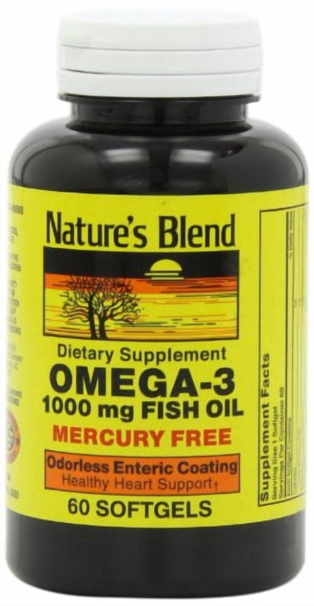 Nature's Blend, Odorless Omega-3 Fish Oil, 1000 mg, 60 Softgels ...
