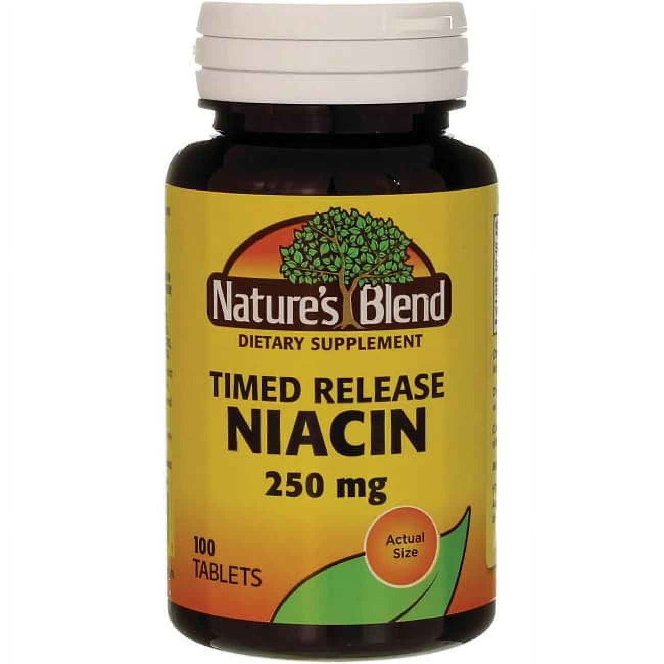 Nature's Blend Niacin 250mg Extended Release Vitamin Supplements, 100 ...