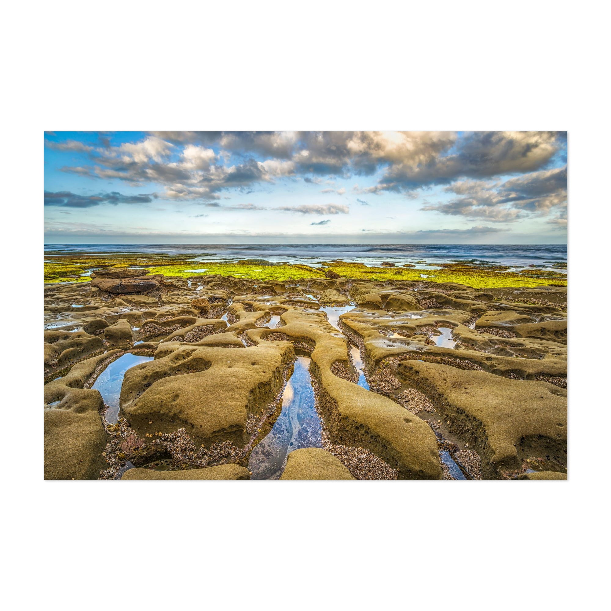 Nature's Canvas - Hospital's Reef - San Diego California Photography ...