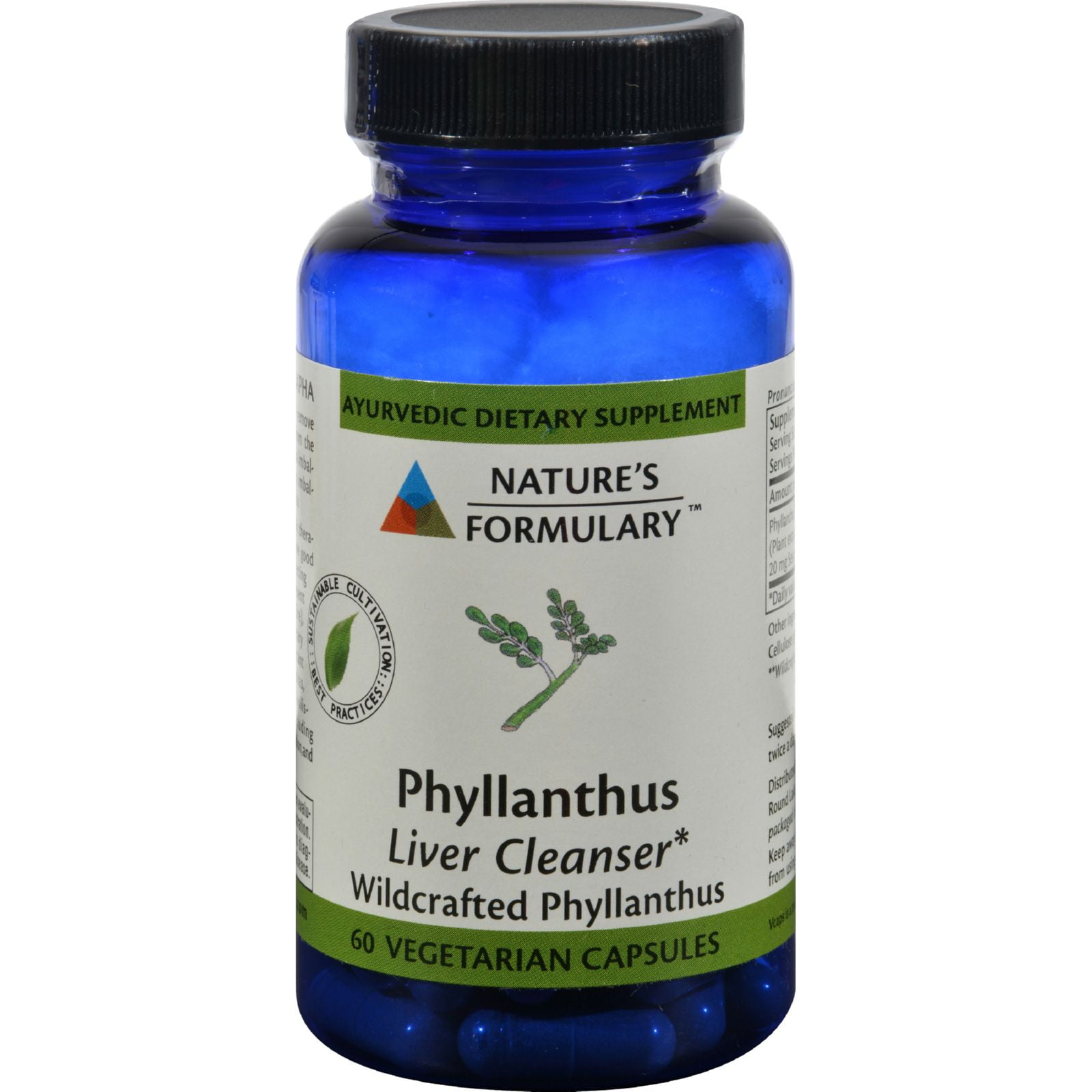 Nature's Formulary Phyllanthus - 60 Vegetarian Capsules - Walmart.com