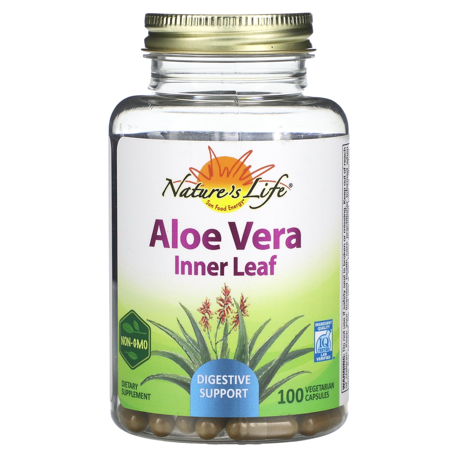 Natures Life Aloe Vera Inner Leaf | Skin Health, Barbados | Ubuy
