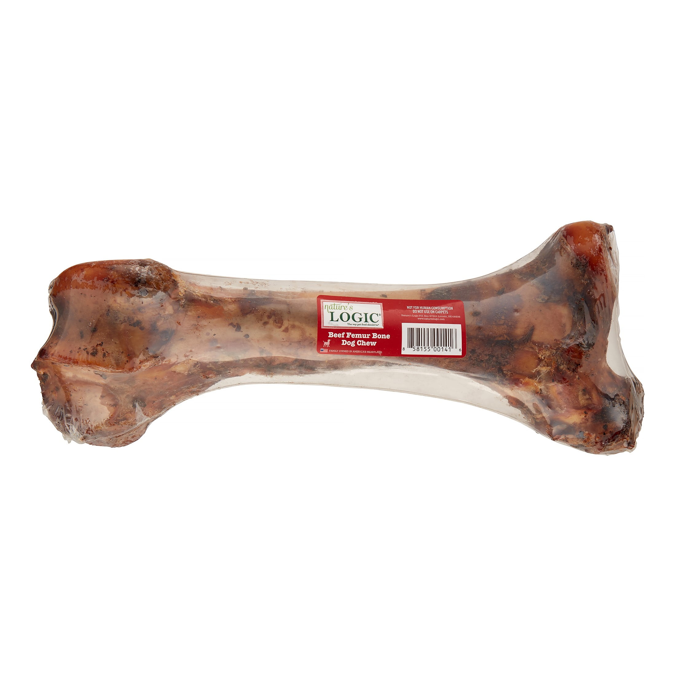 Cow Femur Anatomy