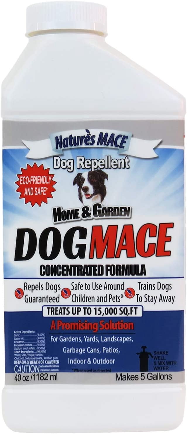 Nature’s MACE 40oz Concentrate Dog Repellent Spray, Keep Dogs Out of ...