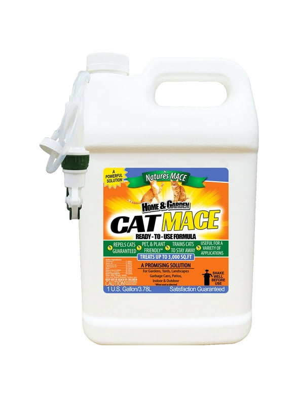 Cat Training and Cleaning in Cats - Walmart.com