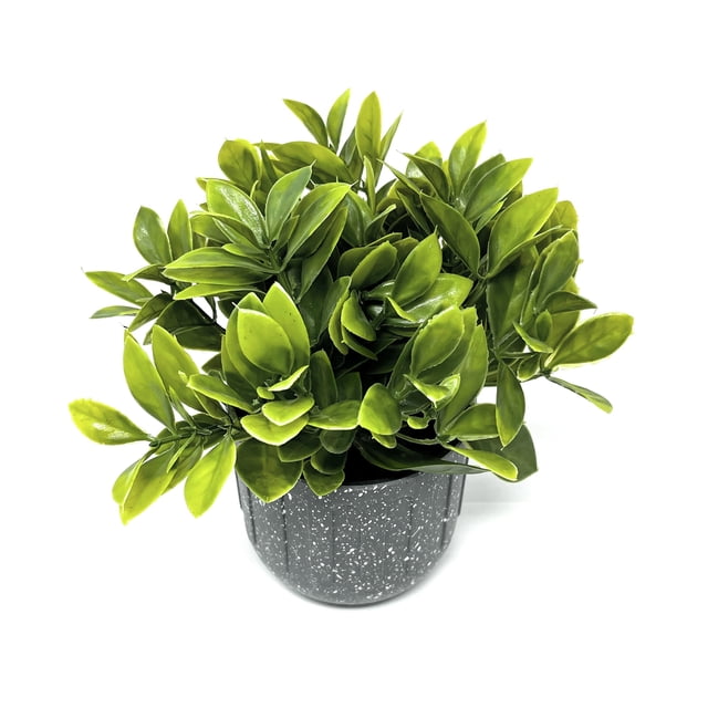 Nature's Mark 7.5”H Artificial Greenery Plant in Gray Plastic Pot ...