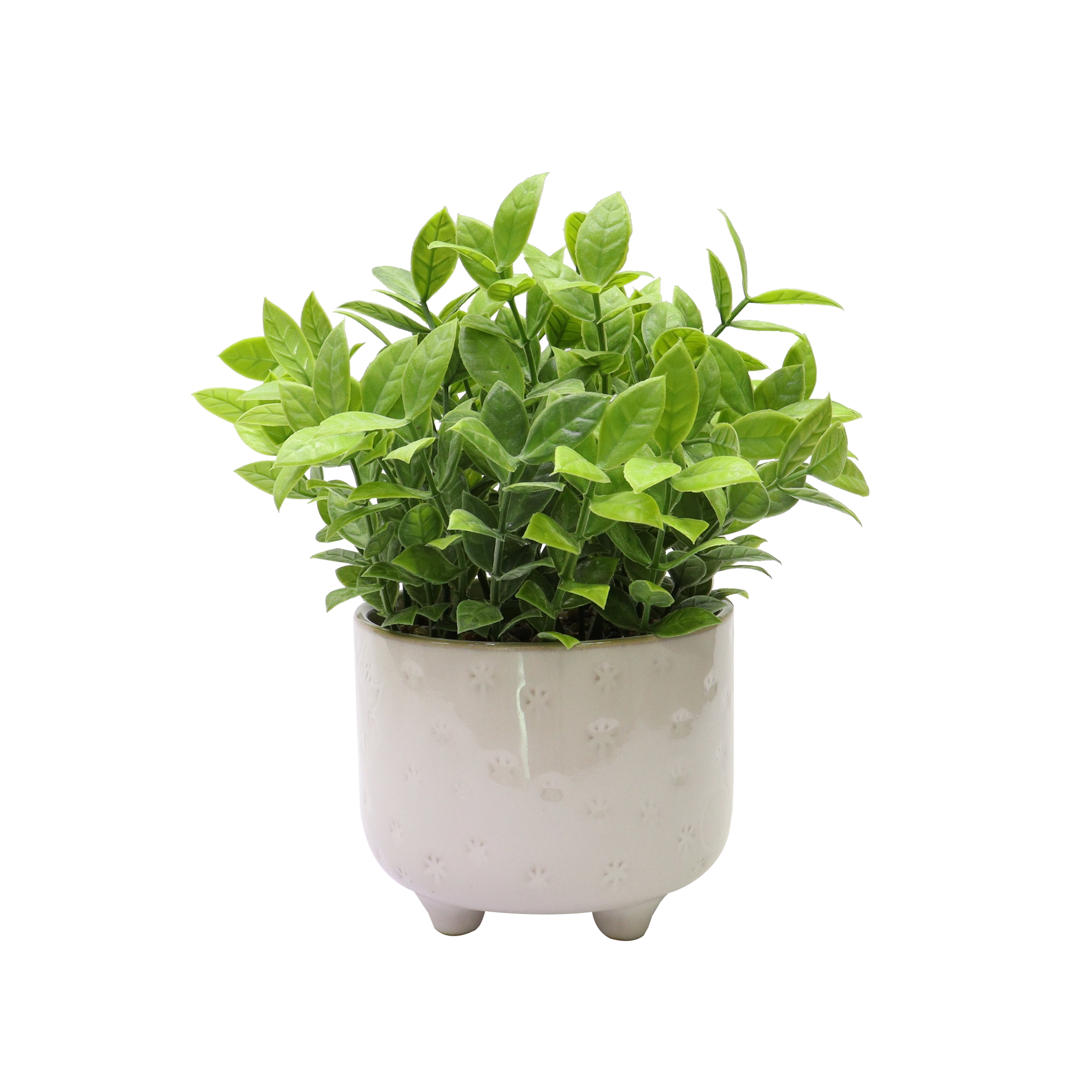 Natures Mark 9H Artificial Jade Plant - Home Decor - Walmart.com