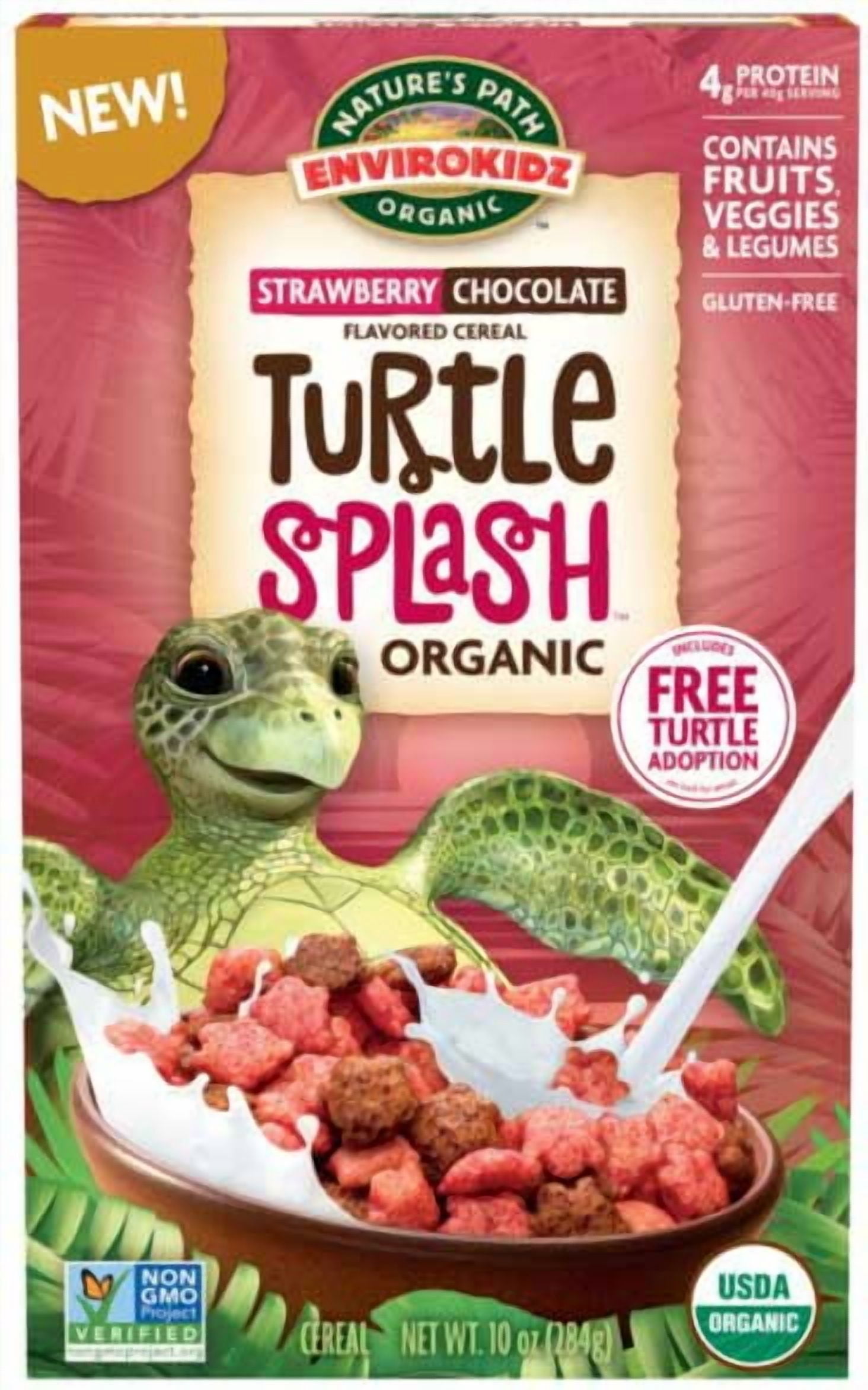 Strawberry Turtle