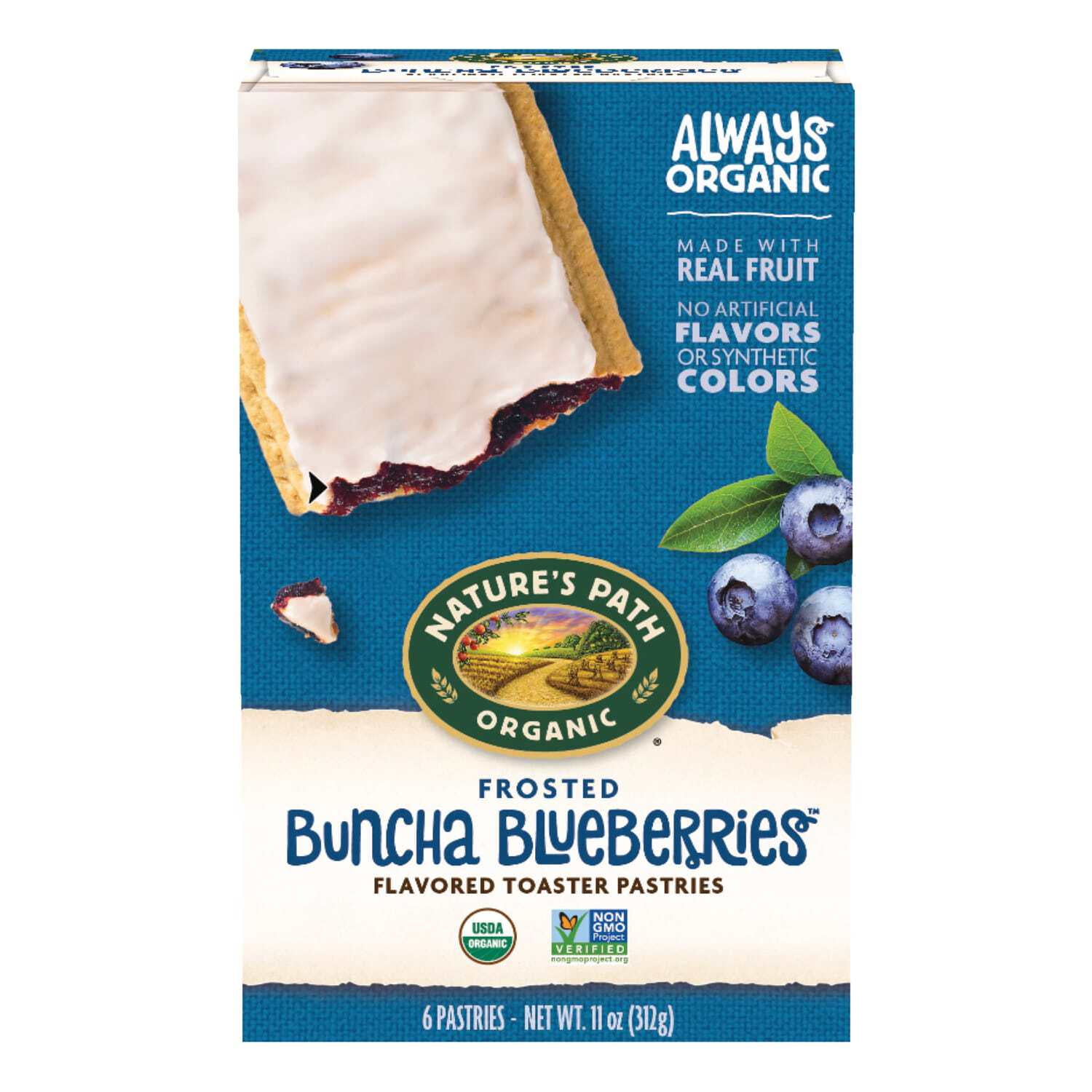 Nature's Path Organic Blueberry Frosted Toaster Pastries 11 oz with ...