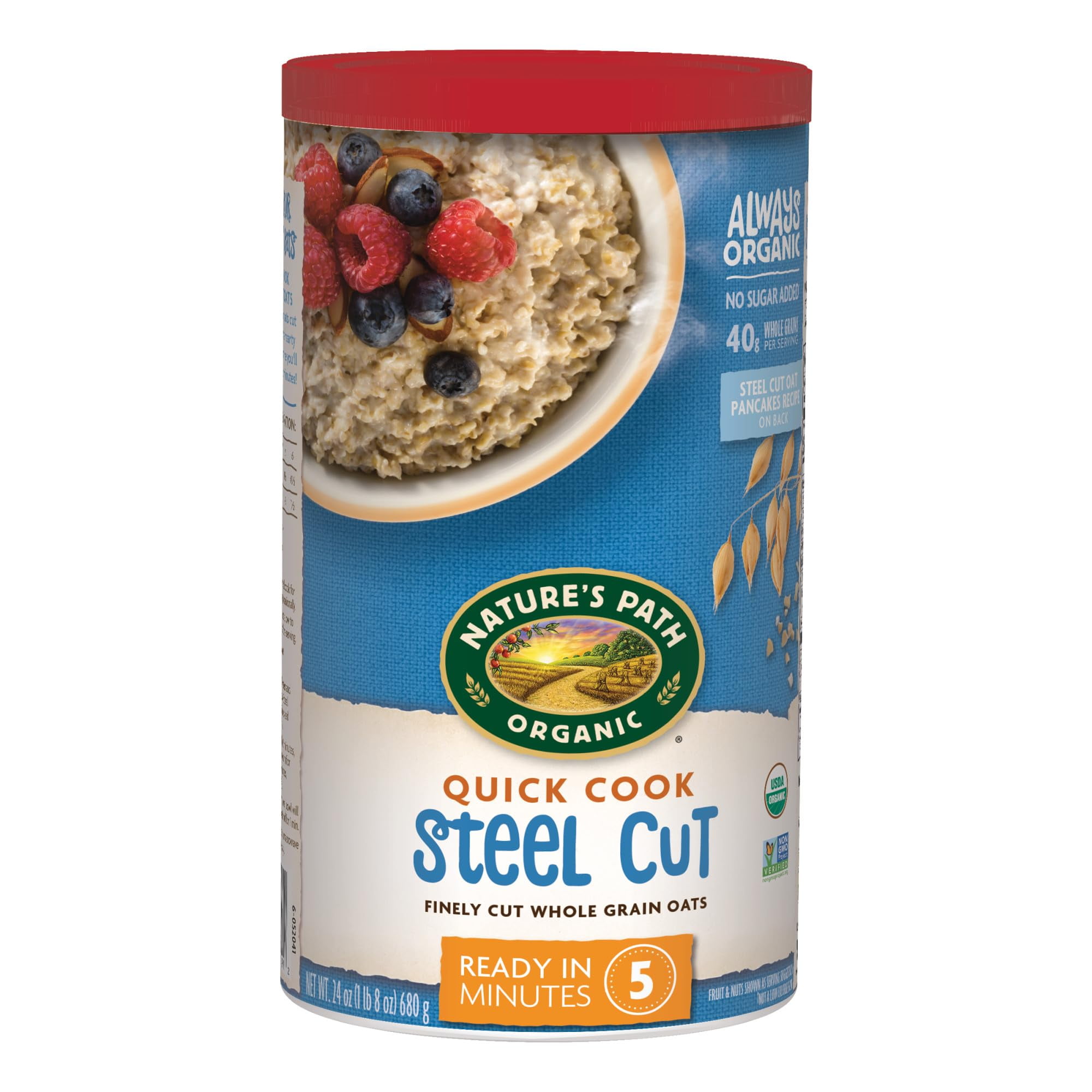 Nature's Path Organic Quick DEF29 Cook Steel Cut Oatmeal, 24 oz (Pack ...
