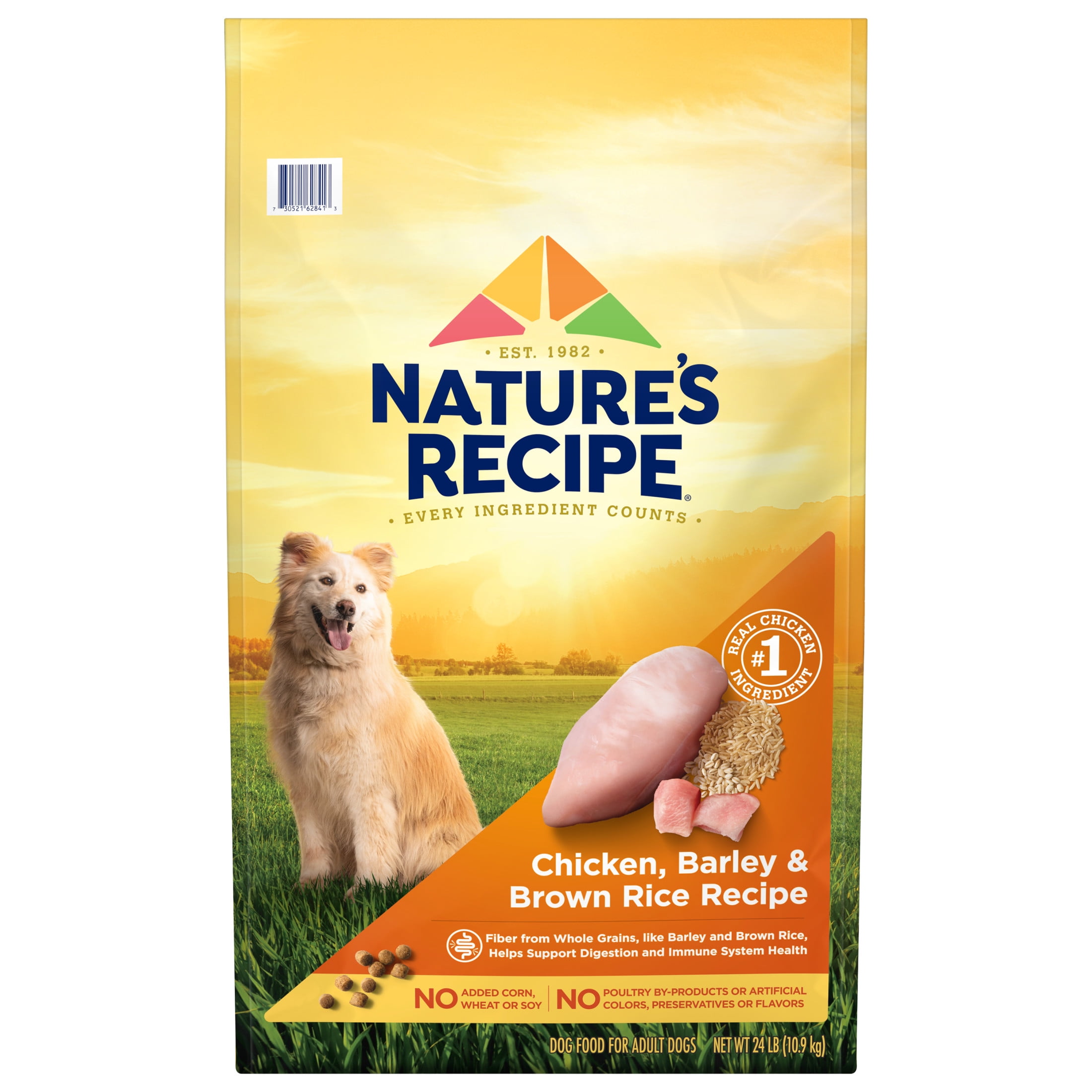 Nature’s Recipe Nutritious Chicken & Rice Dry Dog Food, 24 lb Bag ...