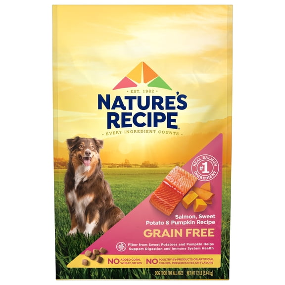 Nature's Recipe Chicken, Sweet Potato & Pumpkin Dry Dog Food 12 lb ...