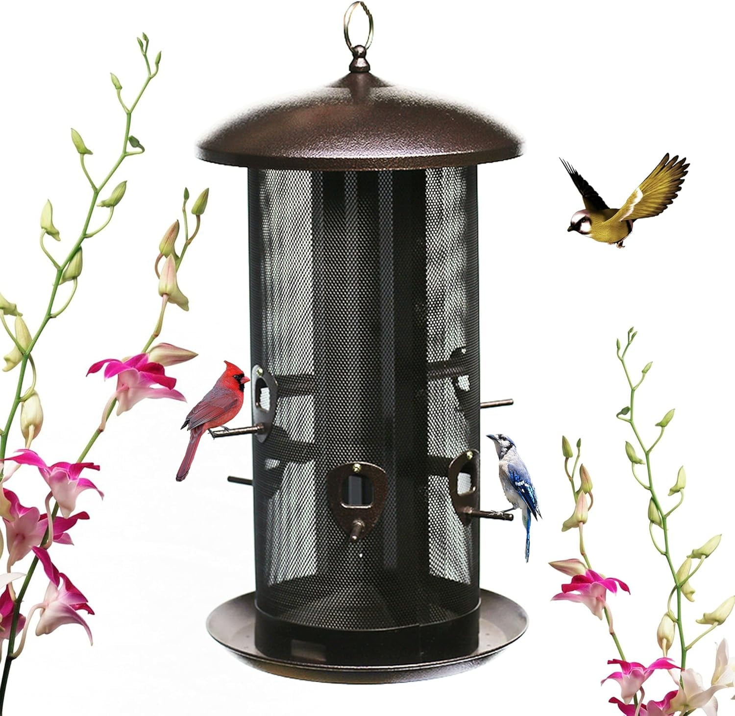 Metal Hopper Bird Feeder Two Chambers，Heavy Duty Mesh Metal Dual Seed ...