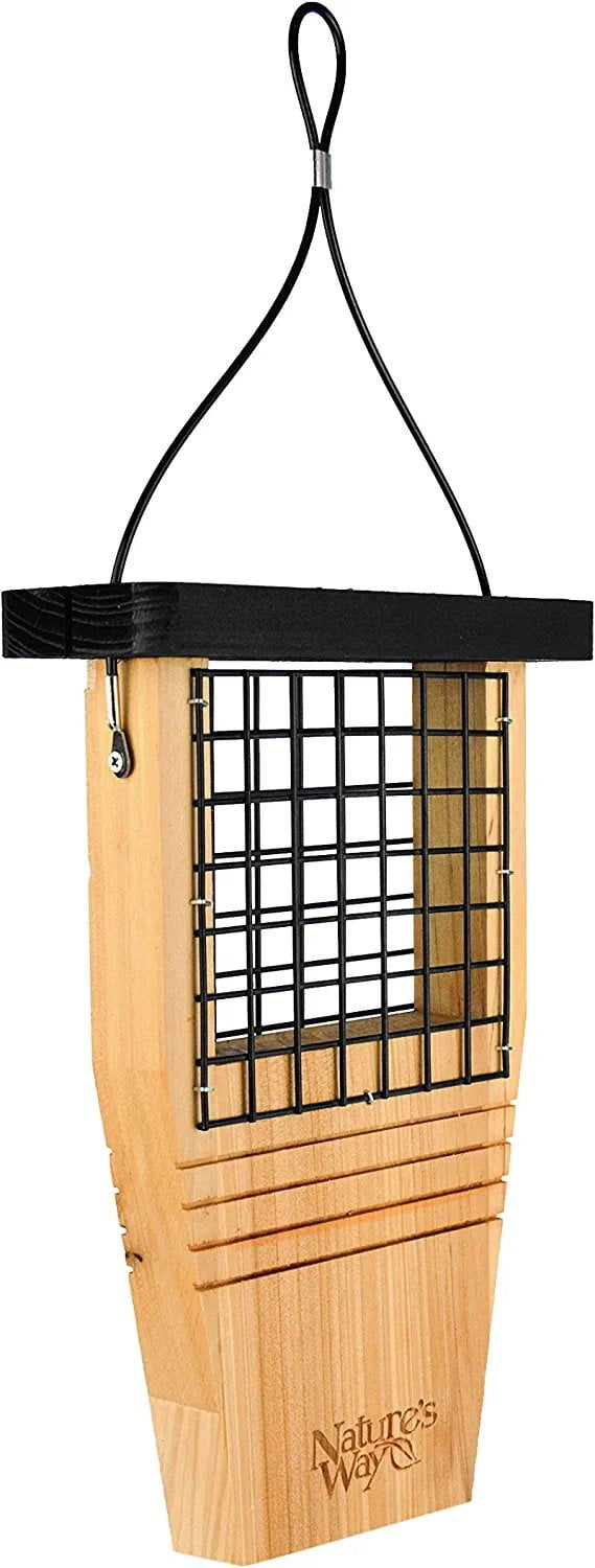 Nature's Way Bird Products CWF1 Tail-prop Suet Bird Feeder 12"H x 7.875 ...