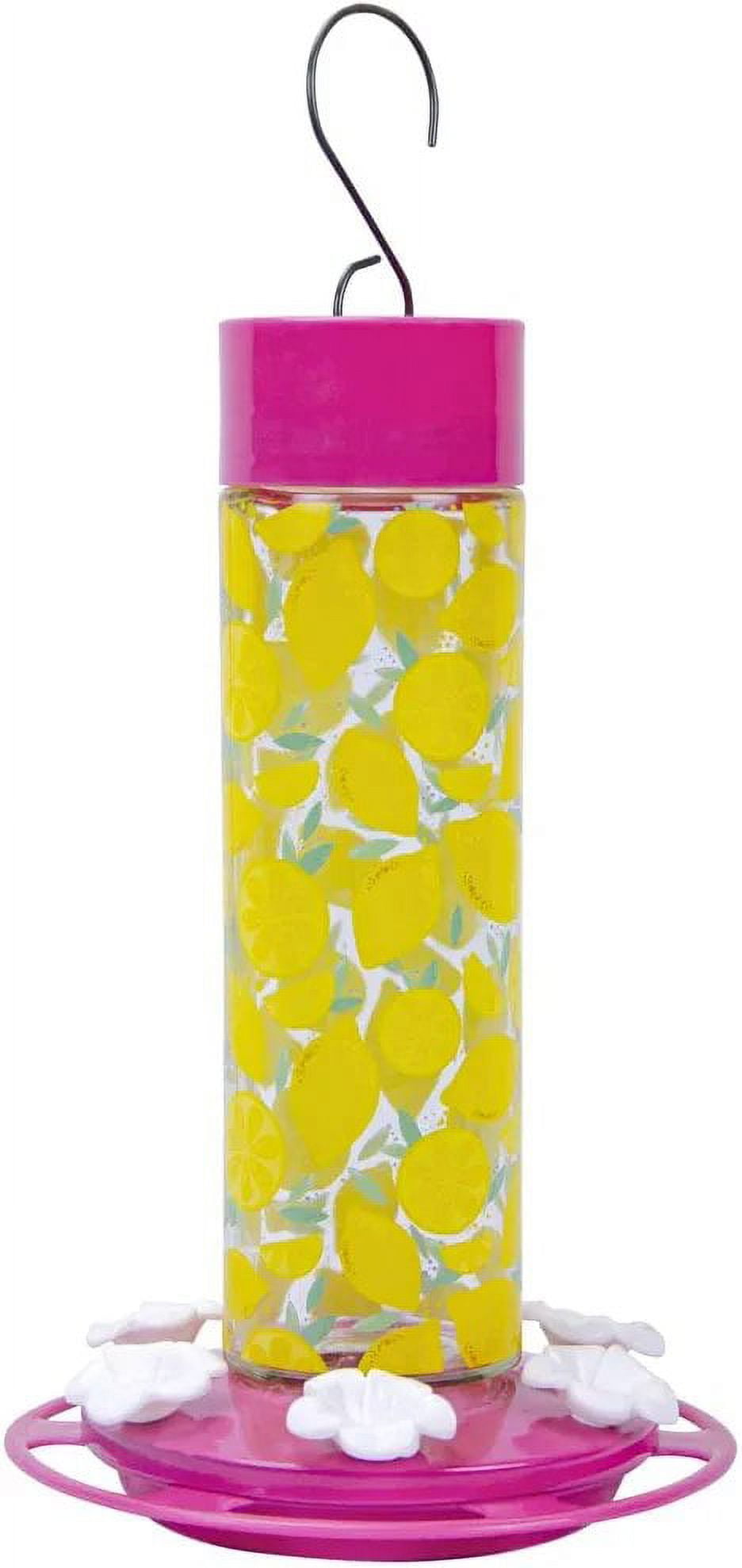 Nature's Way Bird Products DGHF-ALSF Hummingbird Lemonade Stand Feeder ...