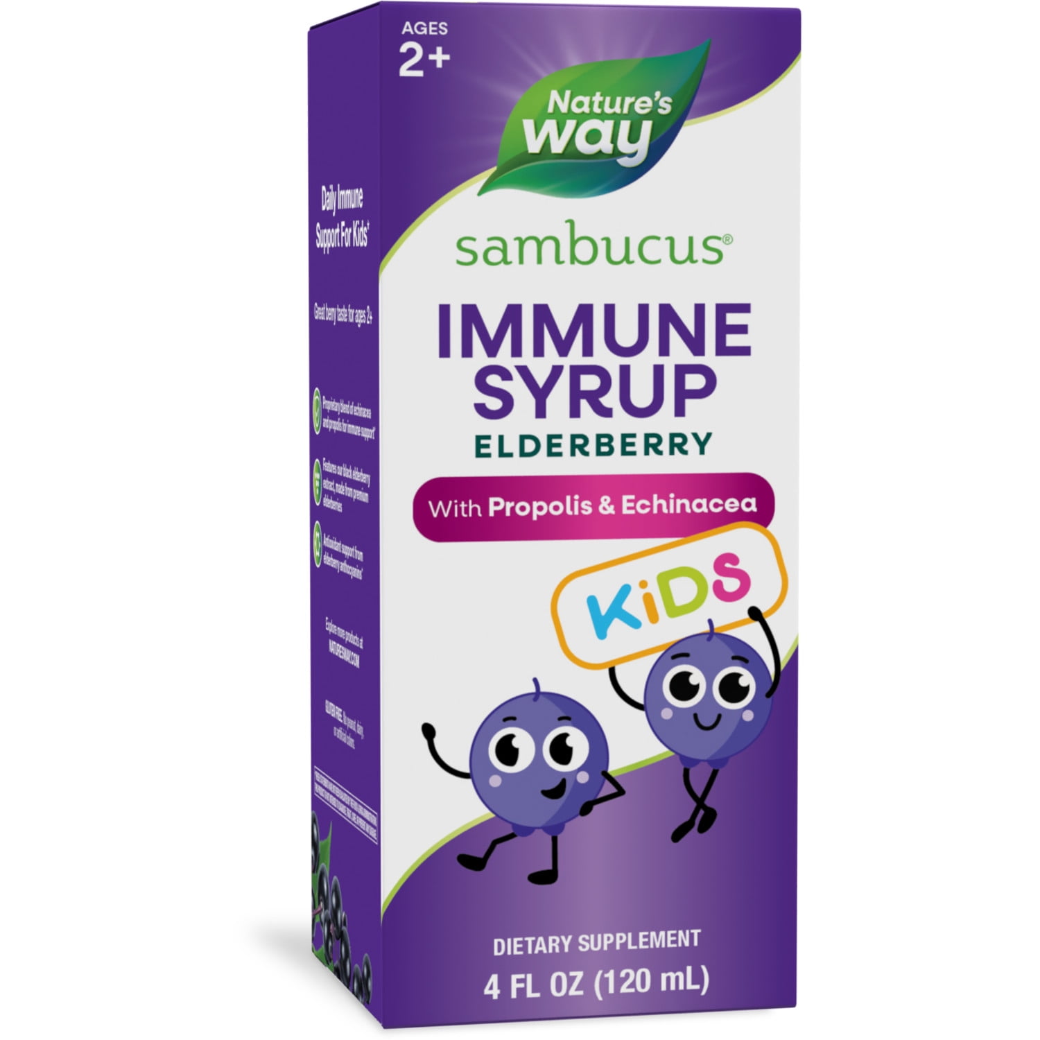 Nature's Way Sambucus: Elderberry Immune Syrup for Kids and Toddlers ...