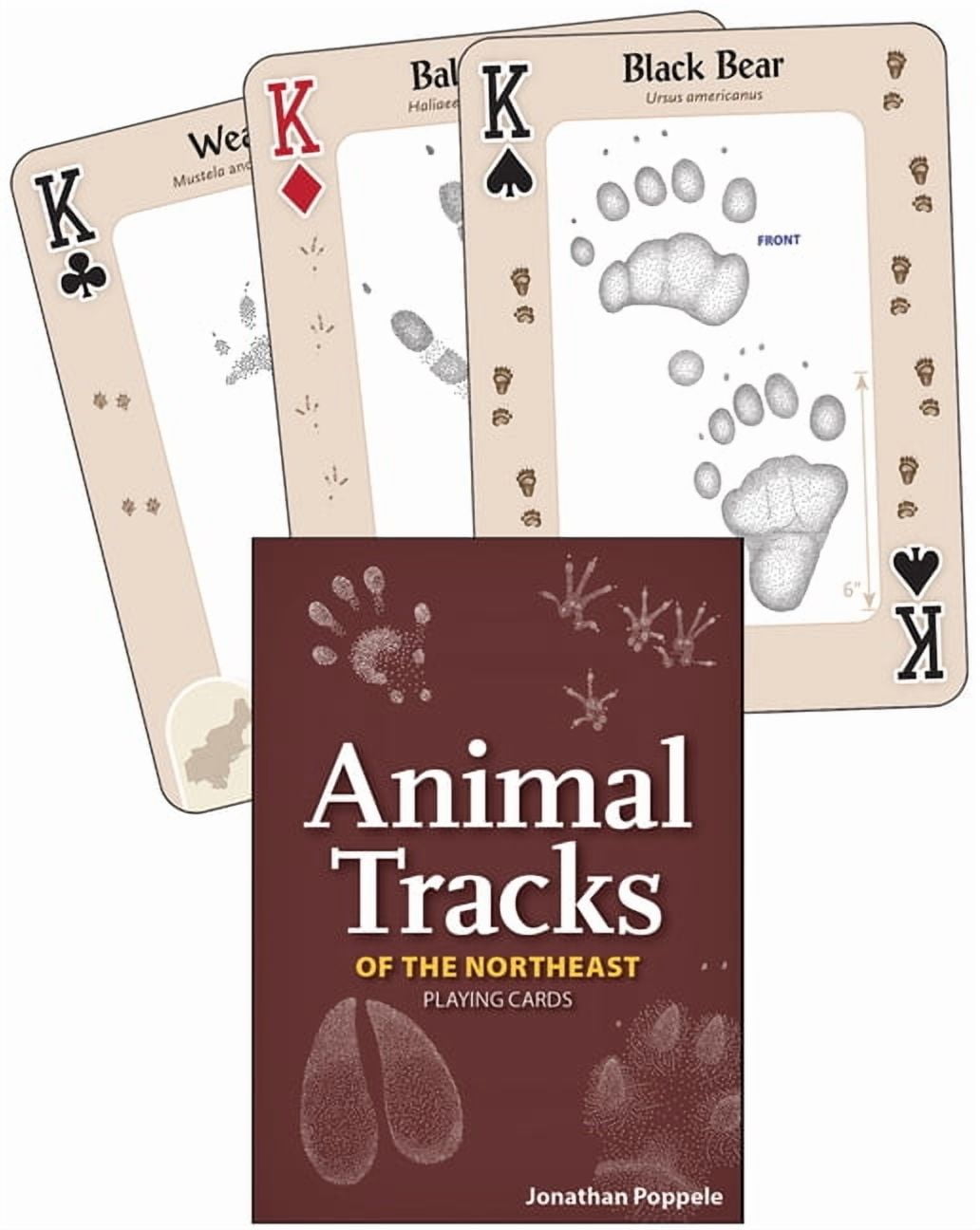 Nature's Wild Cards Animal Tracks of the Northeast Playing Cards ...
