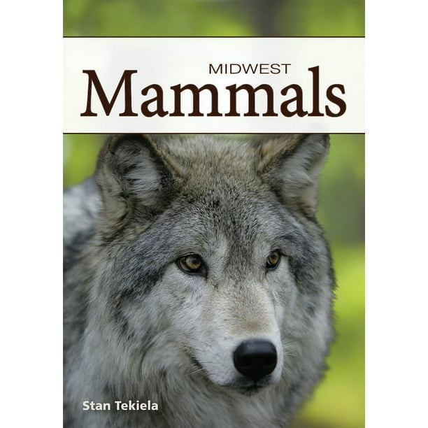 Nature's Wild Cards: Mammals of the Midwest (Other) - Walmart Business ...
