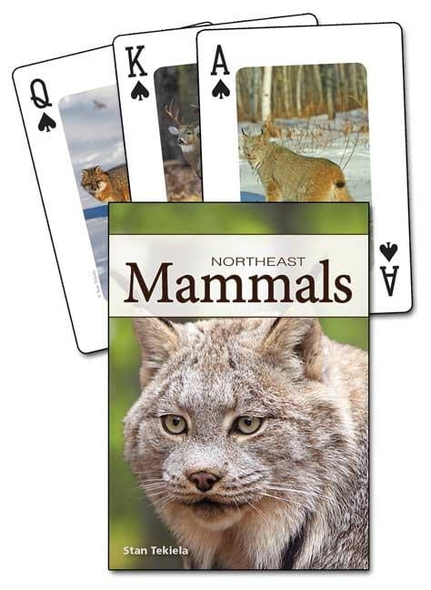 Nature's Wild Cards: Mammals of the Northeast Playing Cards (Other ...