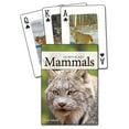Nature's Wild Cards: Mammals of the Northeast Playing Cards (Other ...