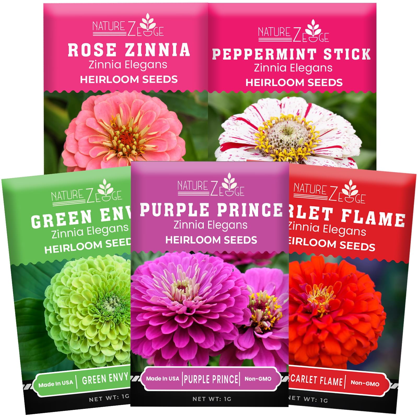 NatureZ Edge Zinnia TWE5 Seeds for Planting Outdoors, Flower Seeds ...