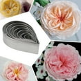Naturegr 7Pcs/Set Rose Petal Mold Cake Decor Fondant Sugarcraft Cookie ...