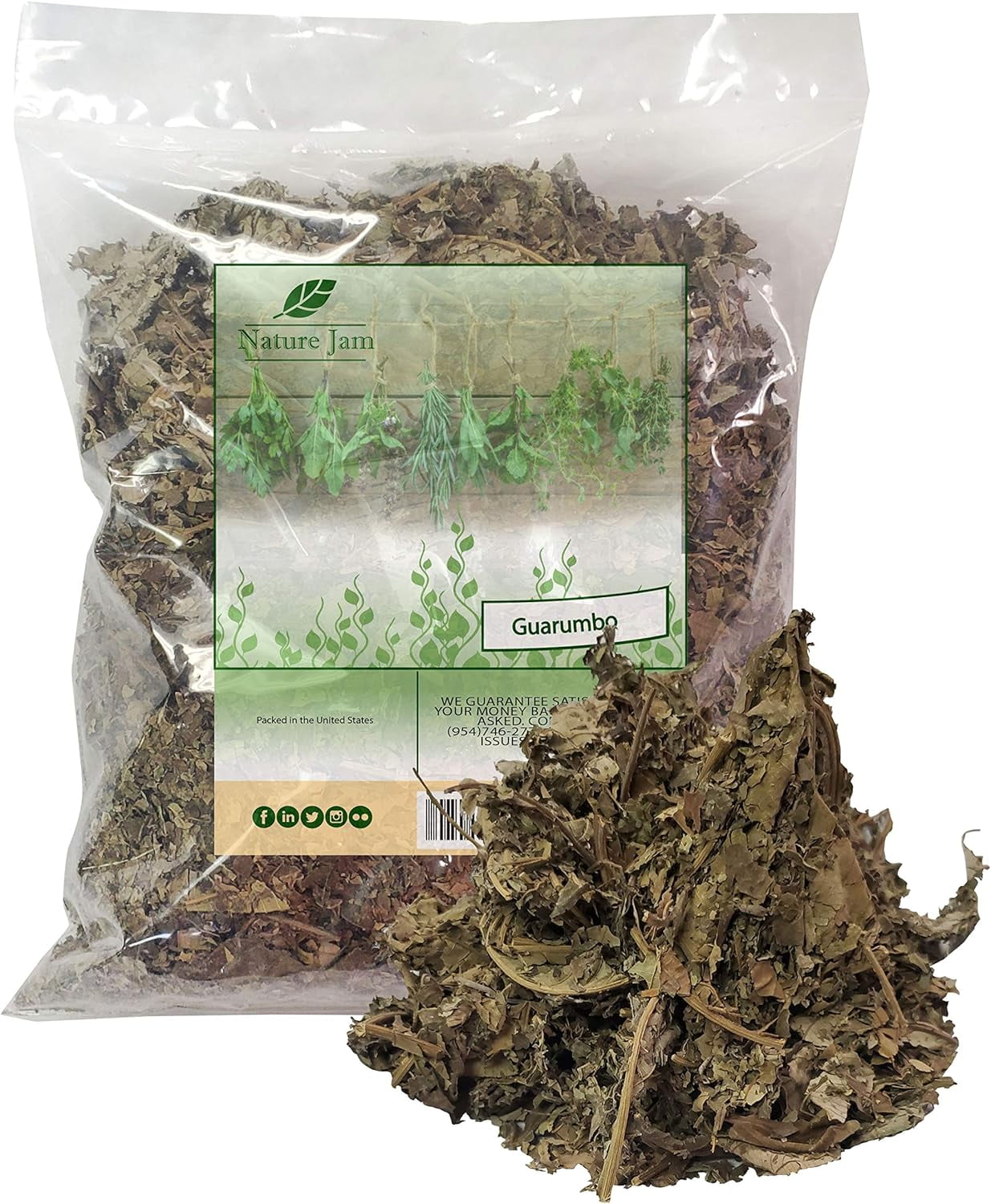 Naturejam Guarumbo-Trumpet Tree Leaves/Cecropia Obtusifolia 1/2 Pound ...