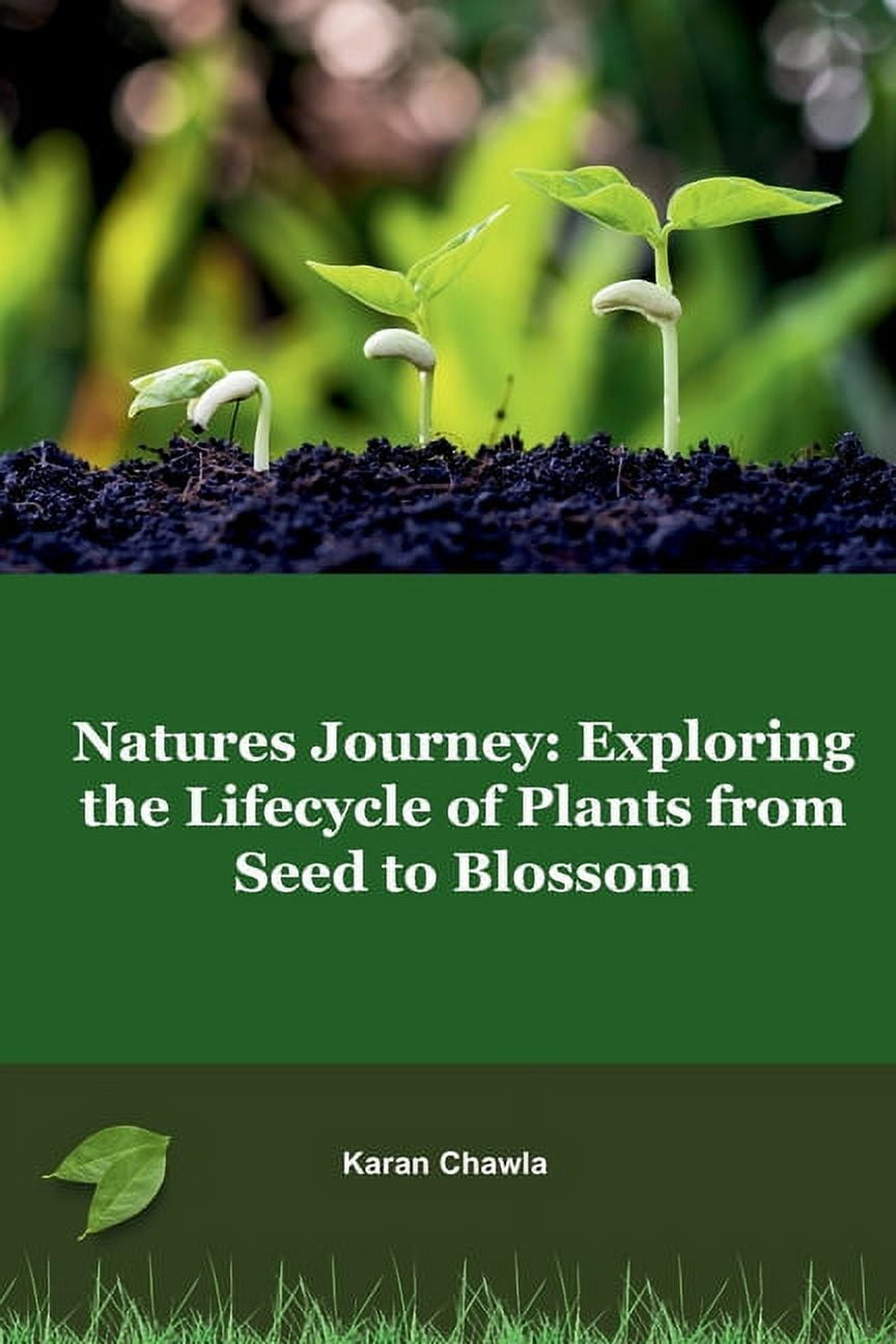 Natures Journey: Exploring the Lifecycle of Plants from Seed to Blossom ...