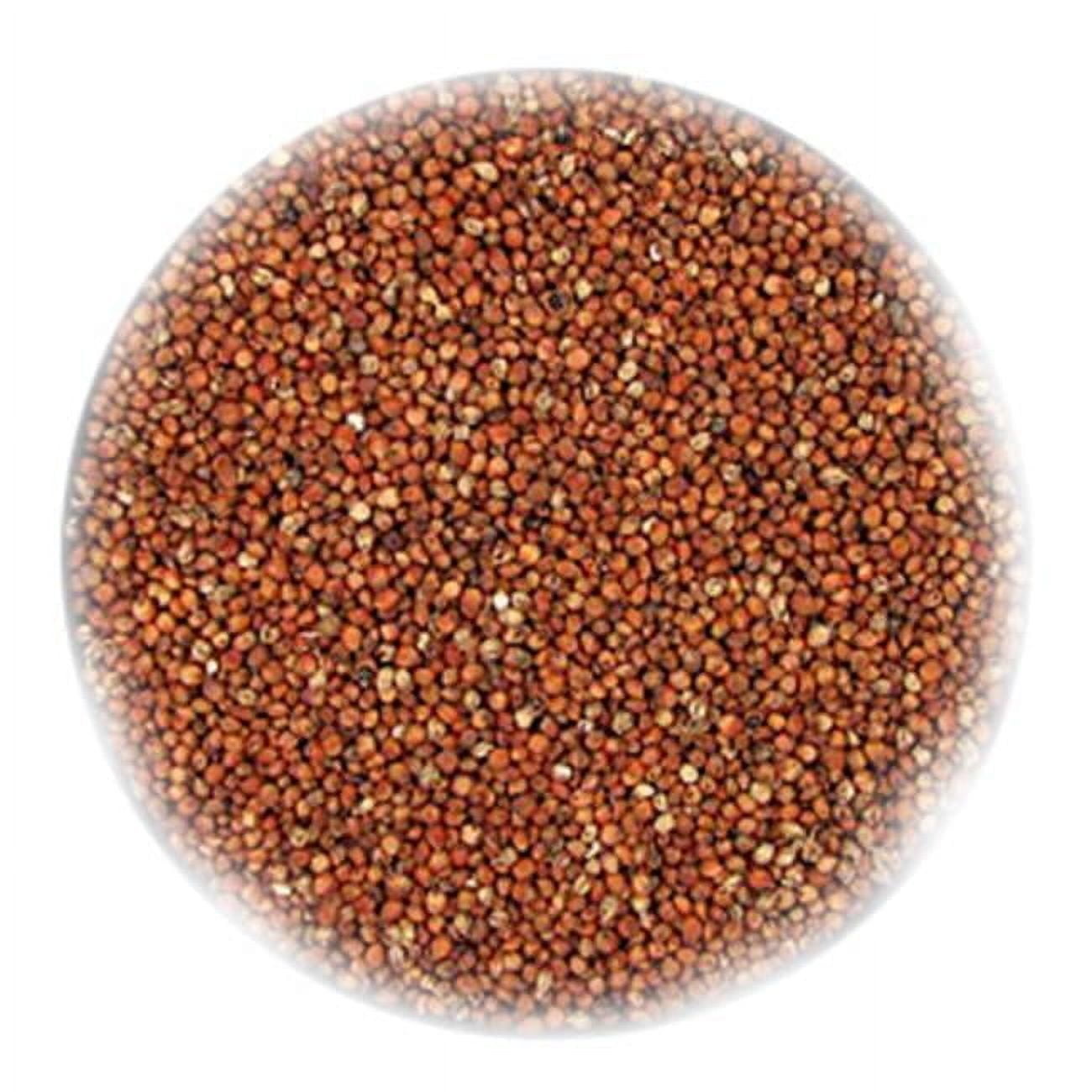 Natures Select Ingredients 50 lbs Milo for Wild Bird Feed - Walmart.com