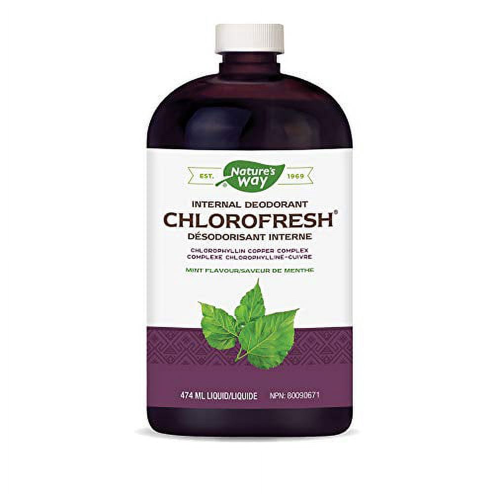 Natures Way Chlorofresh Liquid Mint, 16 OZ - Walmart.com