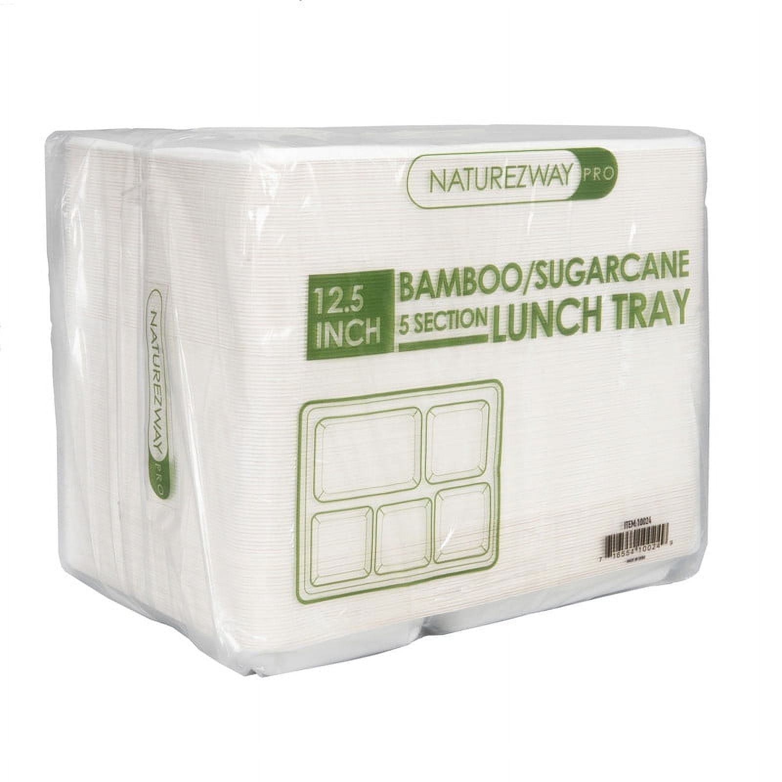 10" 5-Compartment Compostable Plates (240 Pack) | Eco-Friendly for ...
