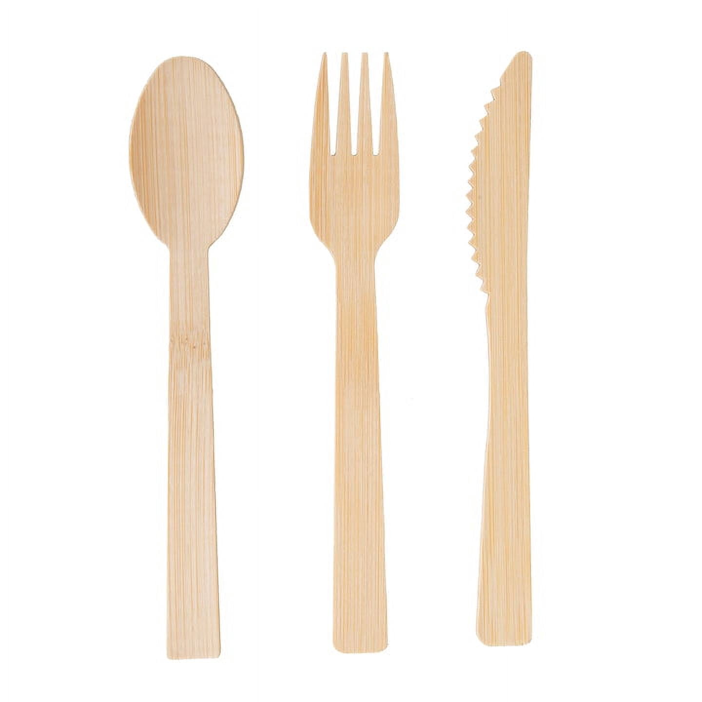 Naturezway Pro Bamboo Disposable Spoons, 1000 Pack - Restaurant-Grade ...