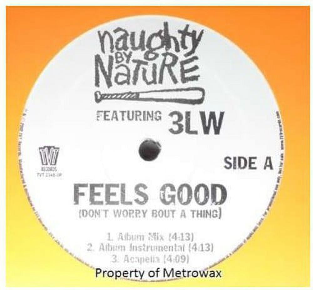 Naughty By Nature - Feels Good - Rap / Hip-Hop - Vinyl - Walmart.com