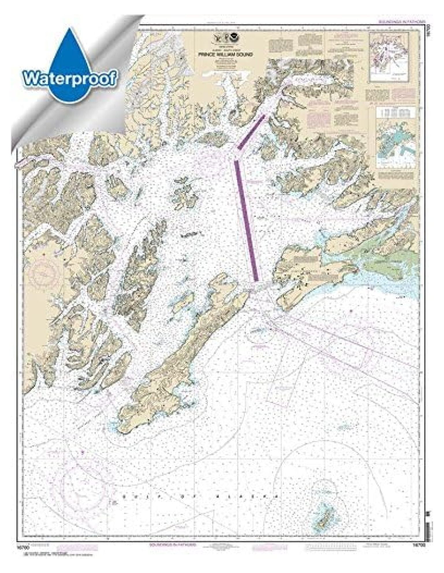 Nautical Chart 16700 William Sound - Waterproof Marine Chart 35.6 x 45. ...