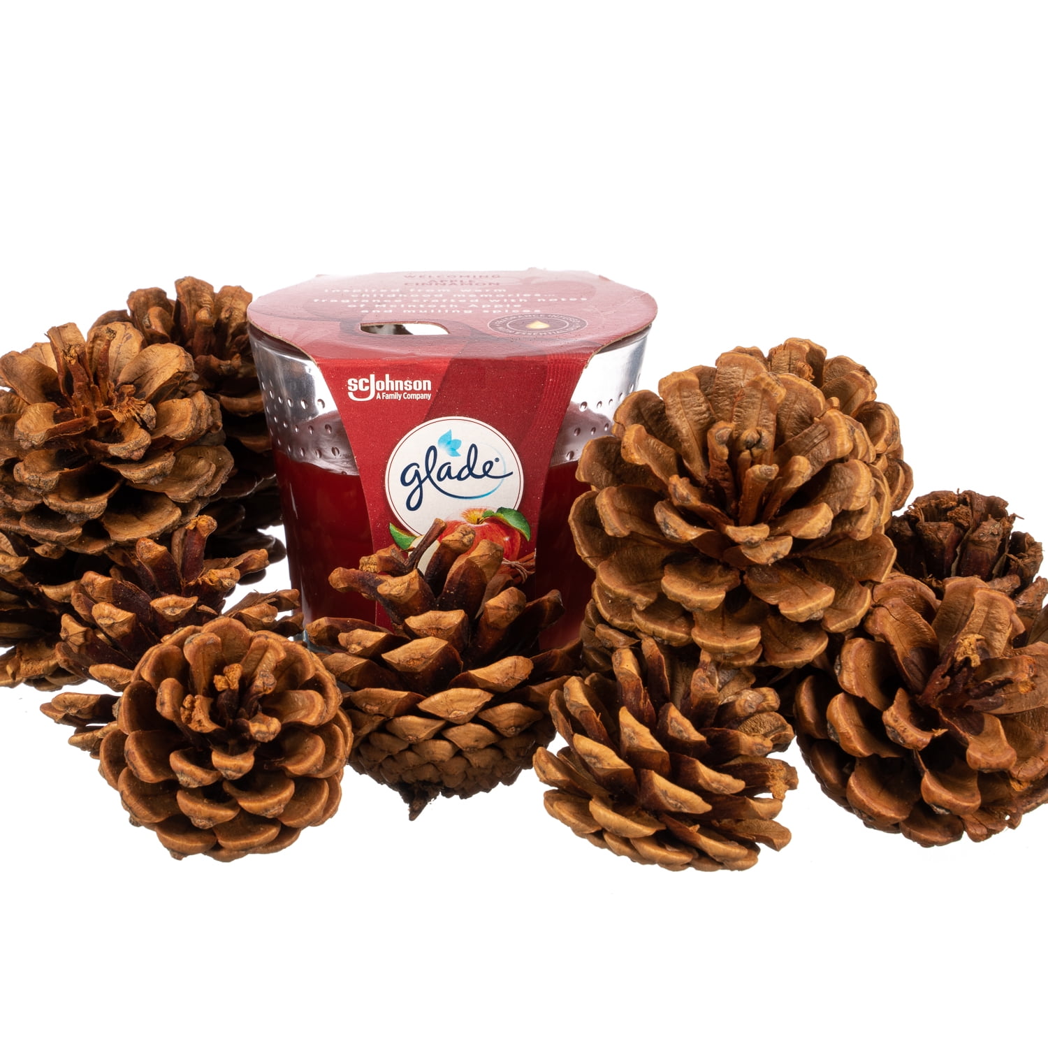 Nautical Crush Trading Cinnamon Scented Pinecones with Glade Fall ...