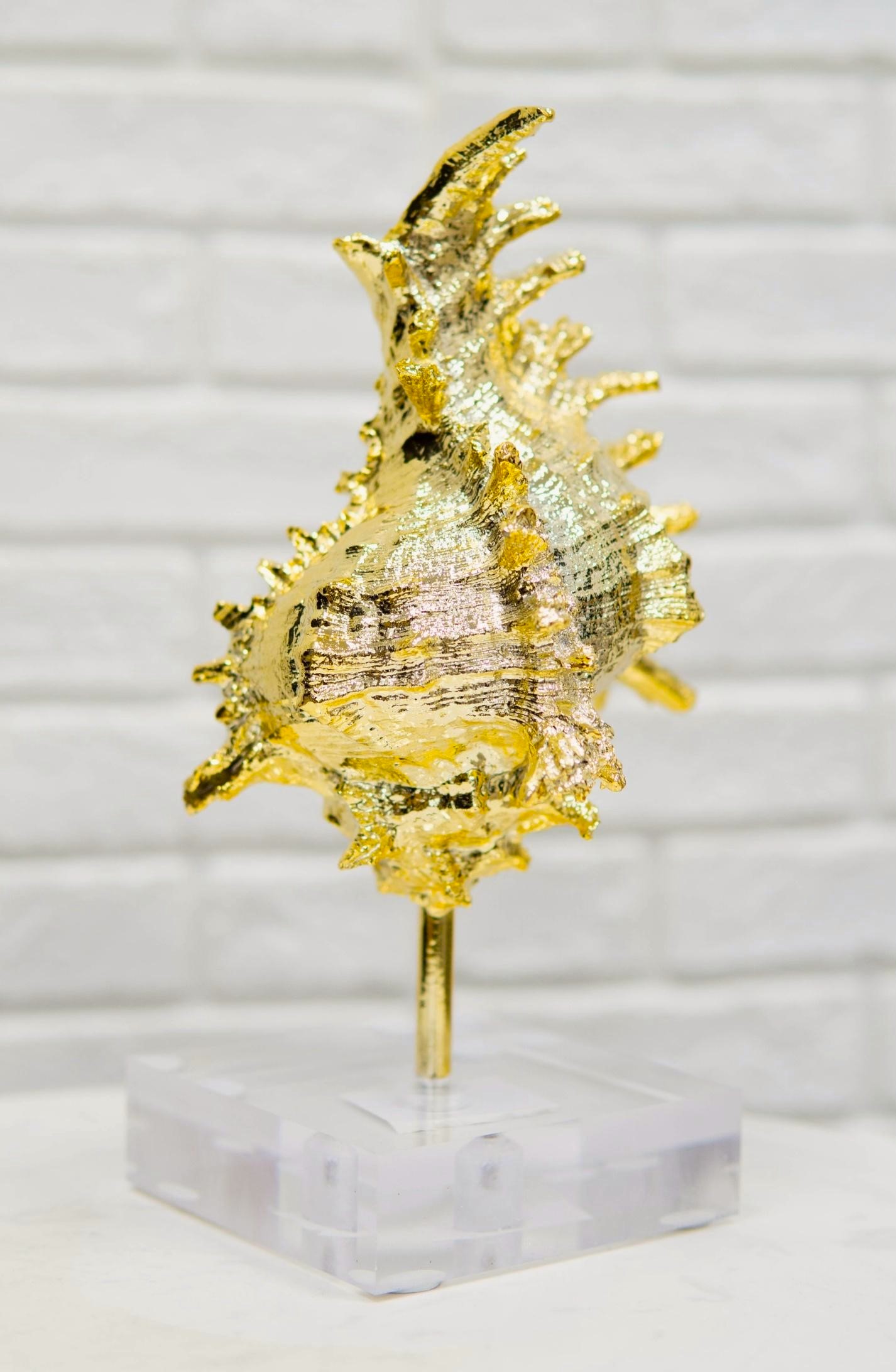 Nautical Marine Coral Golden Conch Large Sea Shell Sculpture With ...