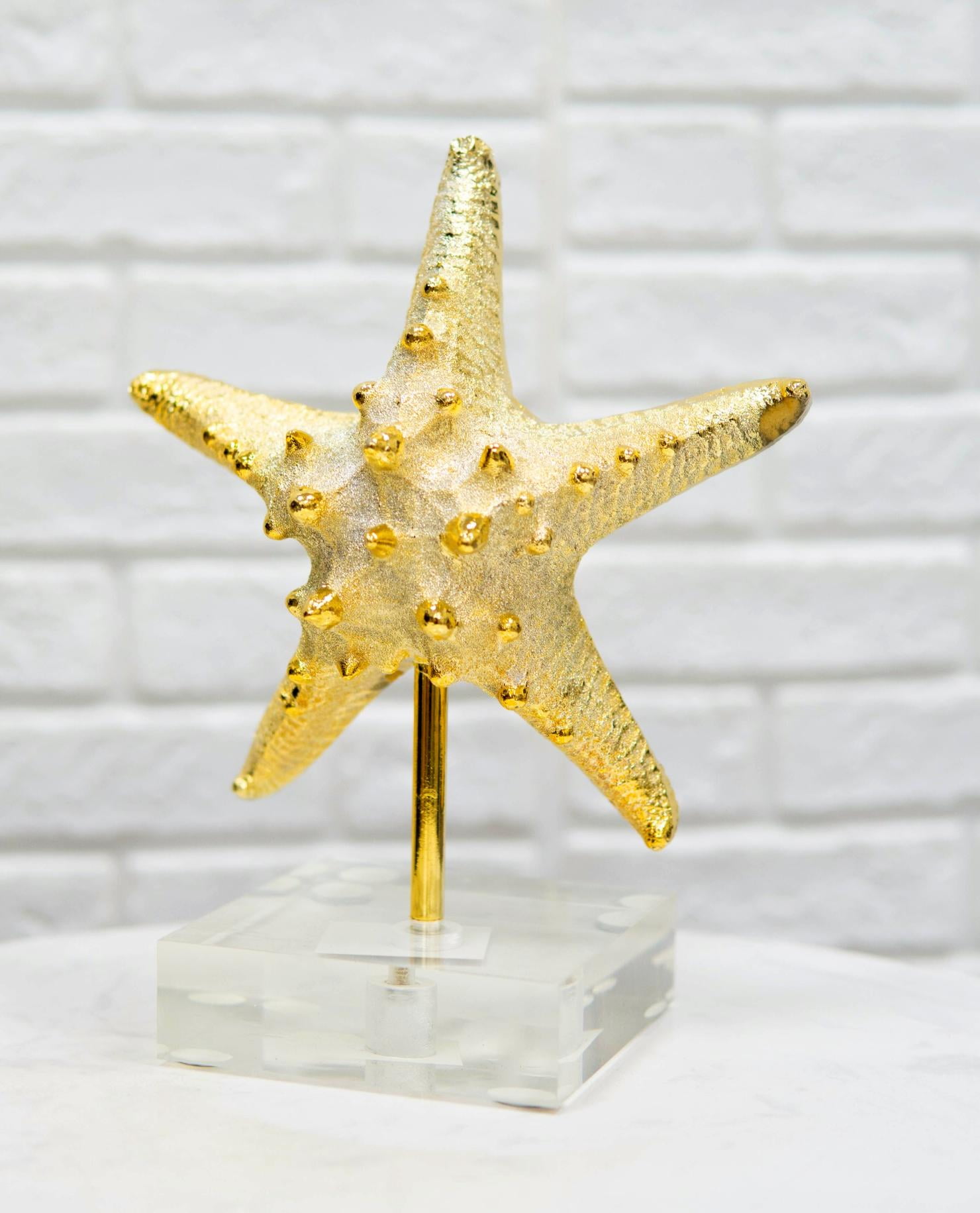 Nautical Marine Coral Golden Sea Star Shell Starfish Sculpture Acrylic ...