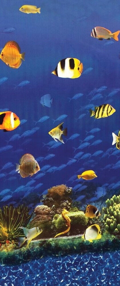 Nautical Reef 15' x 25' Oval Overlap Swimming Pool Liner 48"/52" Height ...
